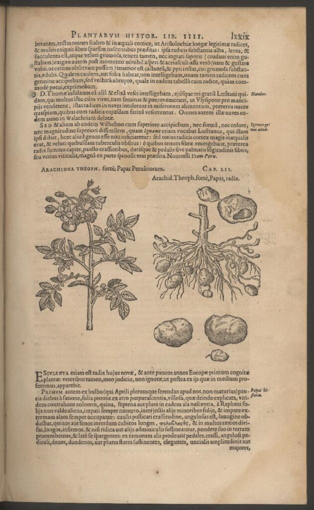 the low countries The Victory March of the Potato Across Europe Began ...