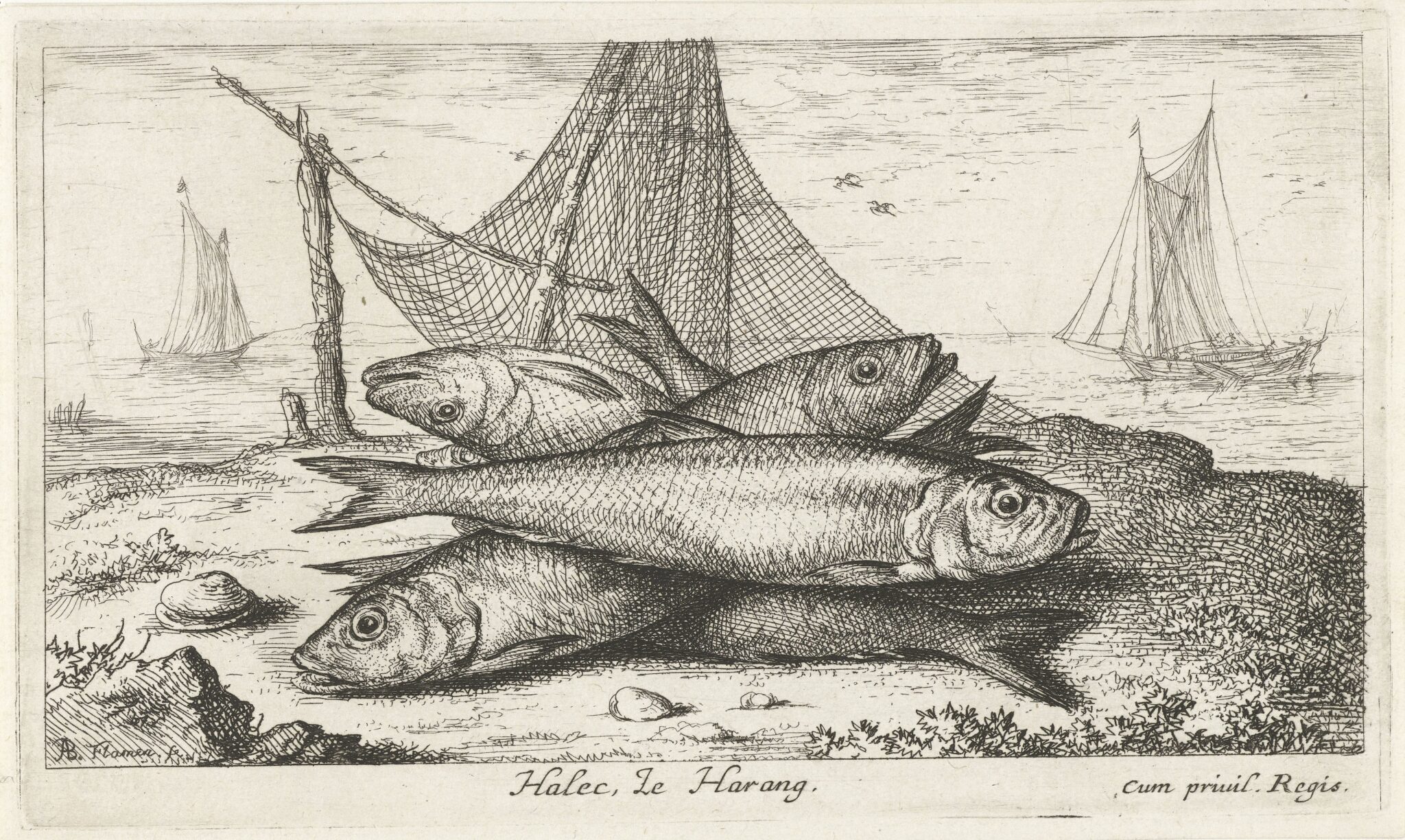 the low countries The Fishy History of Dutch Herring - the low countries