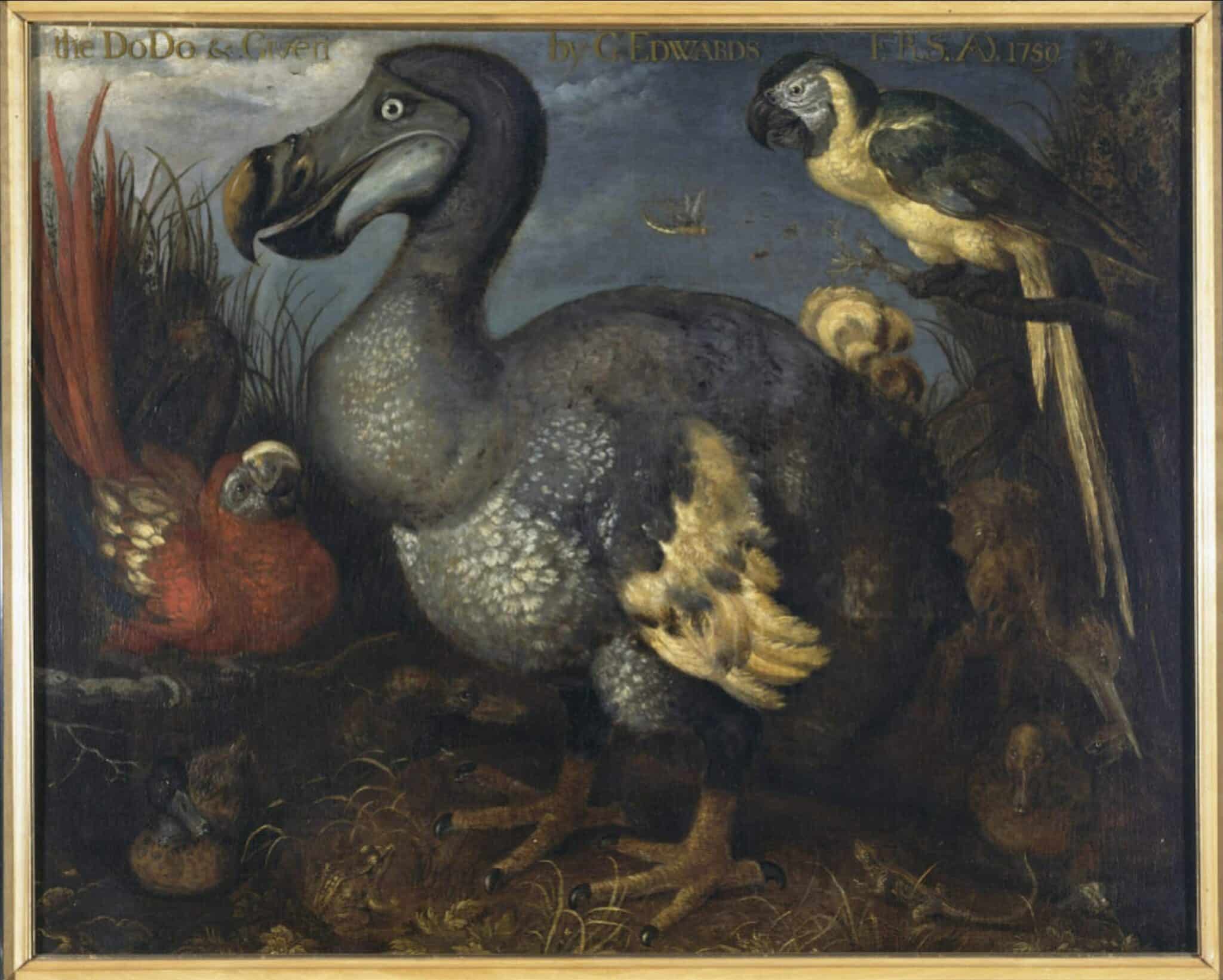 the low countries Roelant Savery Painted the Emperor’s Wondrous World ...