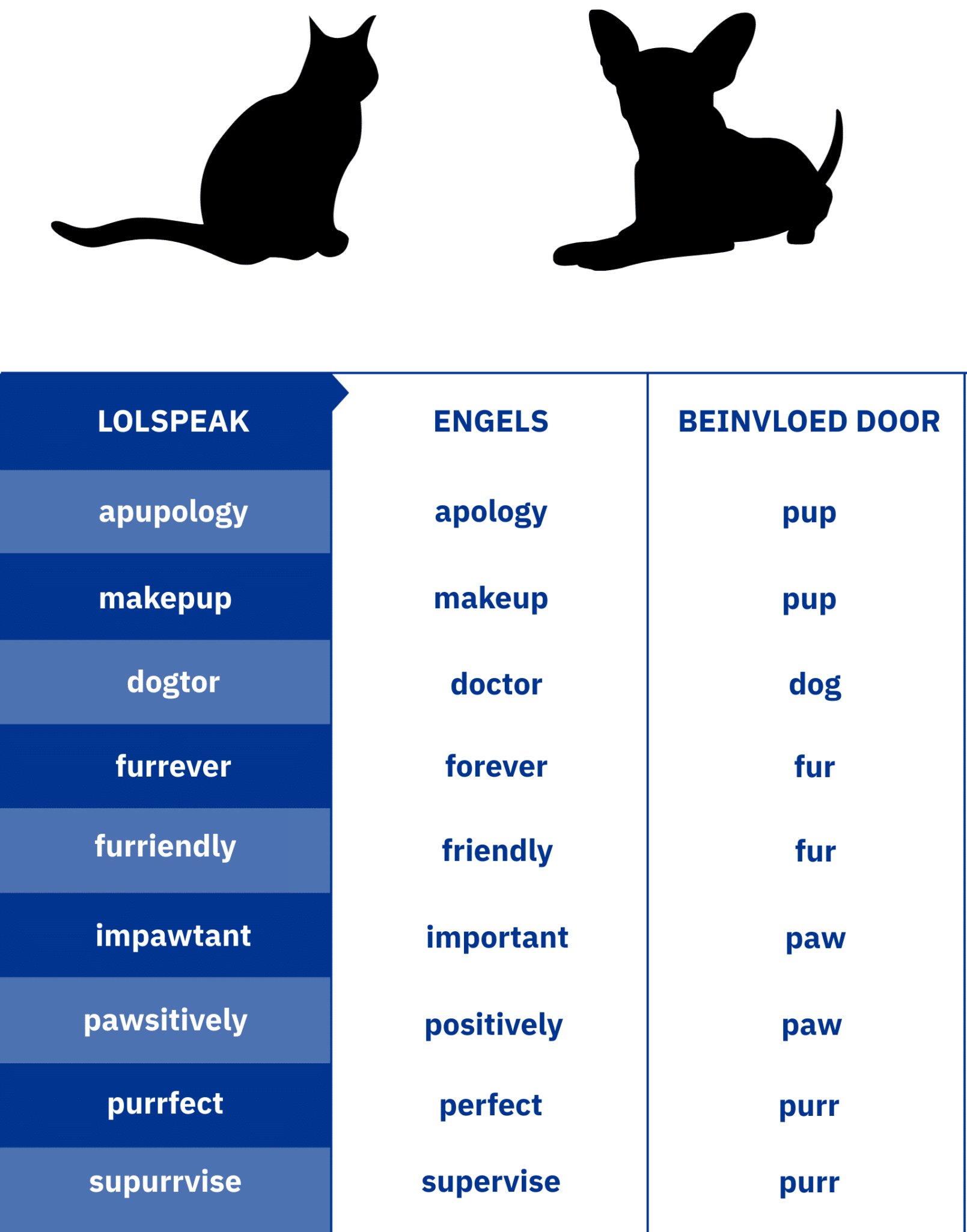the low countries Blep, Sploot and Zoomies: Online Cats and Dogs Leave ...