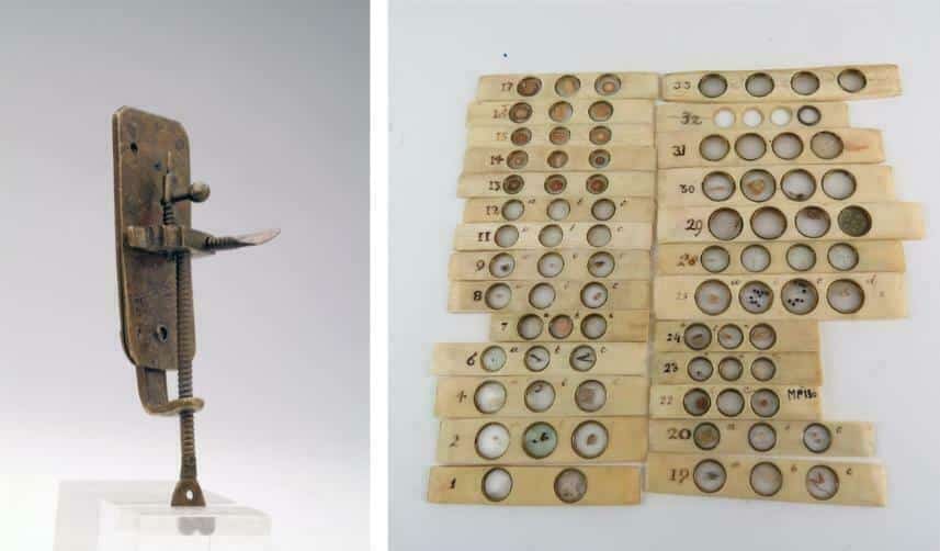 the low countries Antoni van Leeuwenhoek, The Man Who Pushed the ...