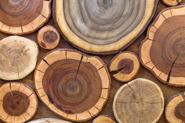 core tree rings