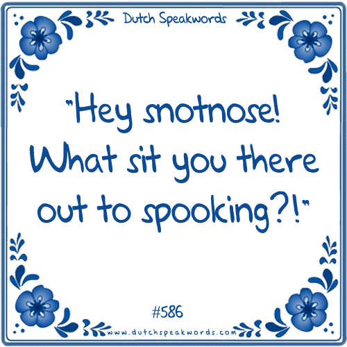 the low countries Double Dutch and Beyond - the low countries