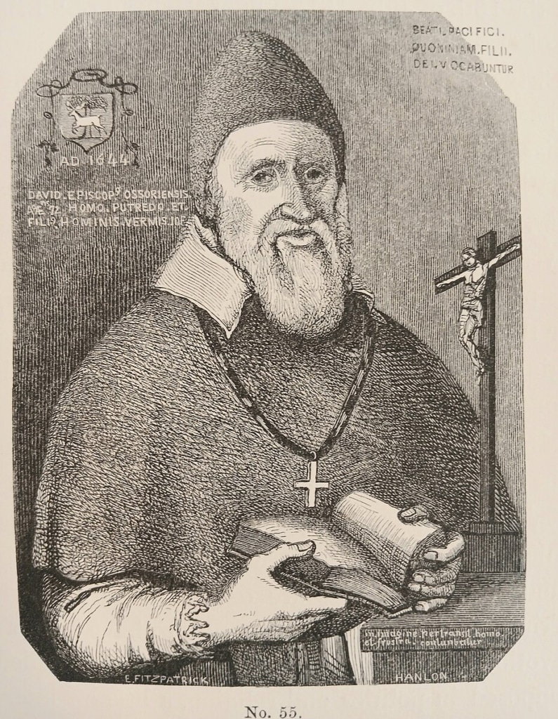 the low countries From the First Witch to Rubens: Kilkenny’s Flemish Roots